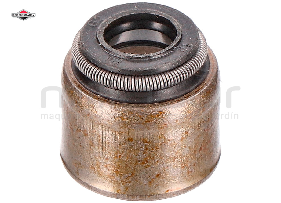 VALVE RETENTION | Millasur | Maquinaria y recambios para bosque & jardín